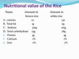 Rice cultivation | PPTX