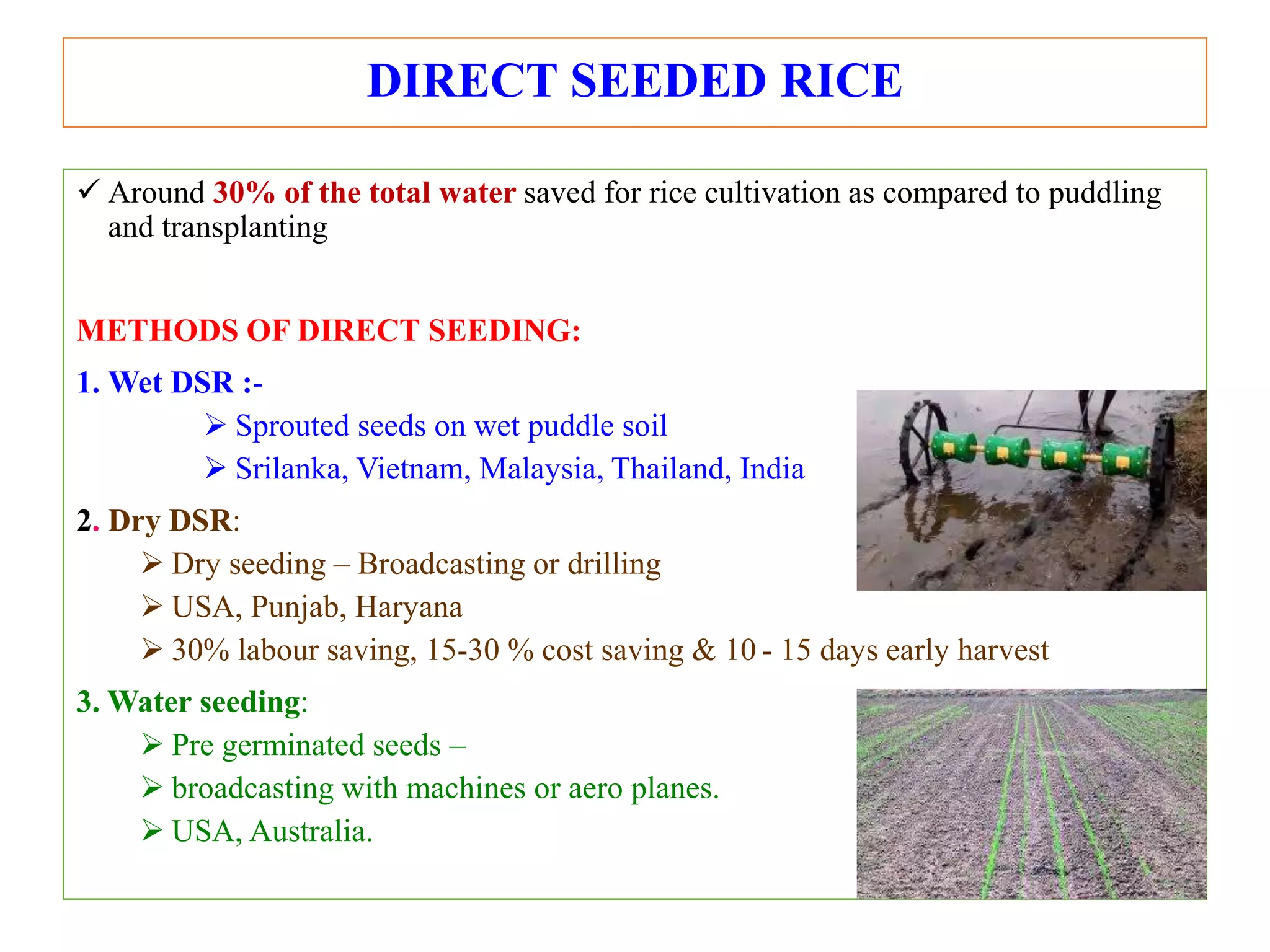Rice culture and greenhouse gas emission | PPTX