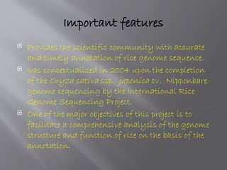 RICE DATABASE apikliujkiyhkuyhkuhji.pptx