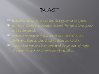 RICE DATABASE apikliujkiyhkuyhkuhji.pptx