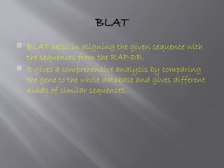 RICE DATABASE apikliujkiyhkuyhkuhji.pptx