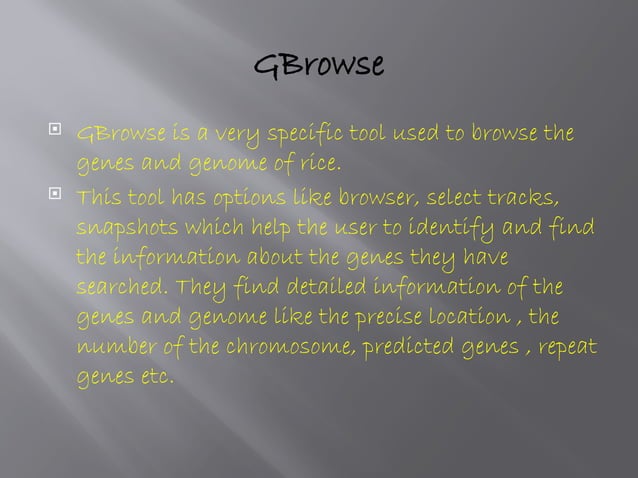 RICE DATABASE apikliujkiyhkuyhkuhji.pptx