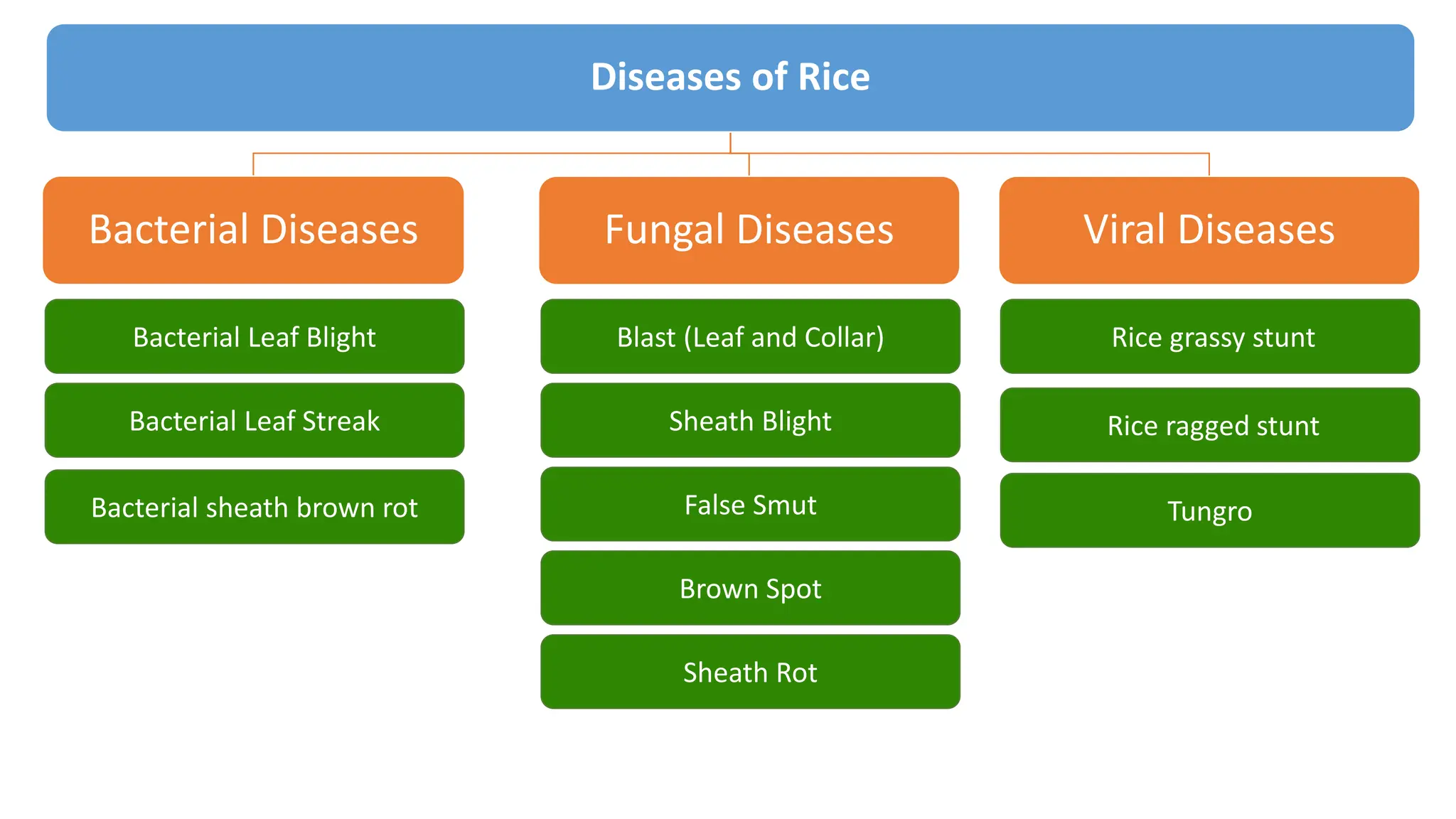Rice Diseases Introduction and BLB disease resistance | PPT