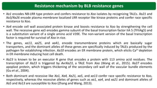 Rice Diseases Introduction and BLB disease resistance | PPTX