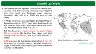 Rice Diseases Introduction and BLB disease resistance | PPTX