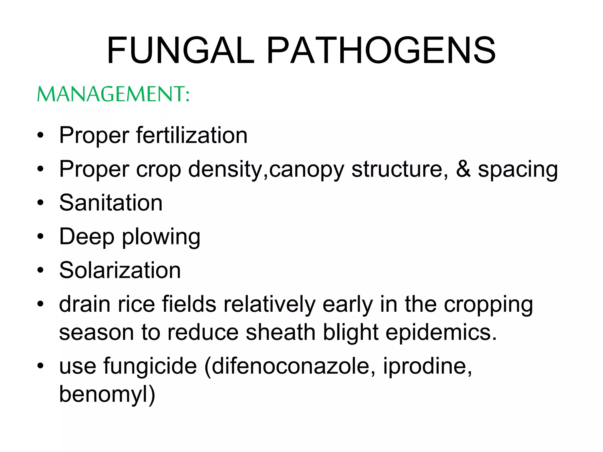 Rice diseases and their management | PPTX
