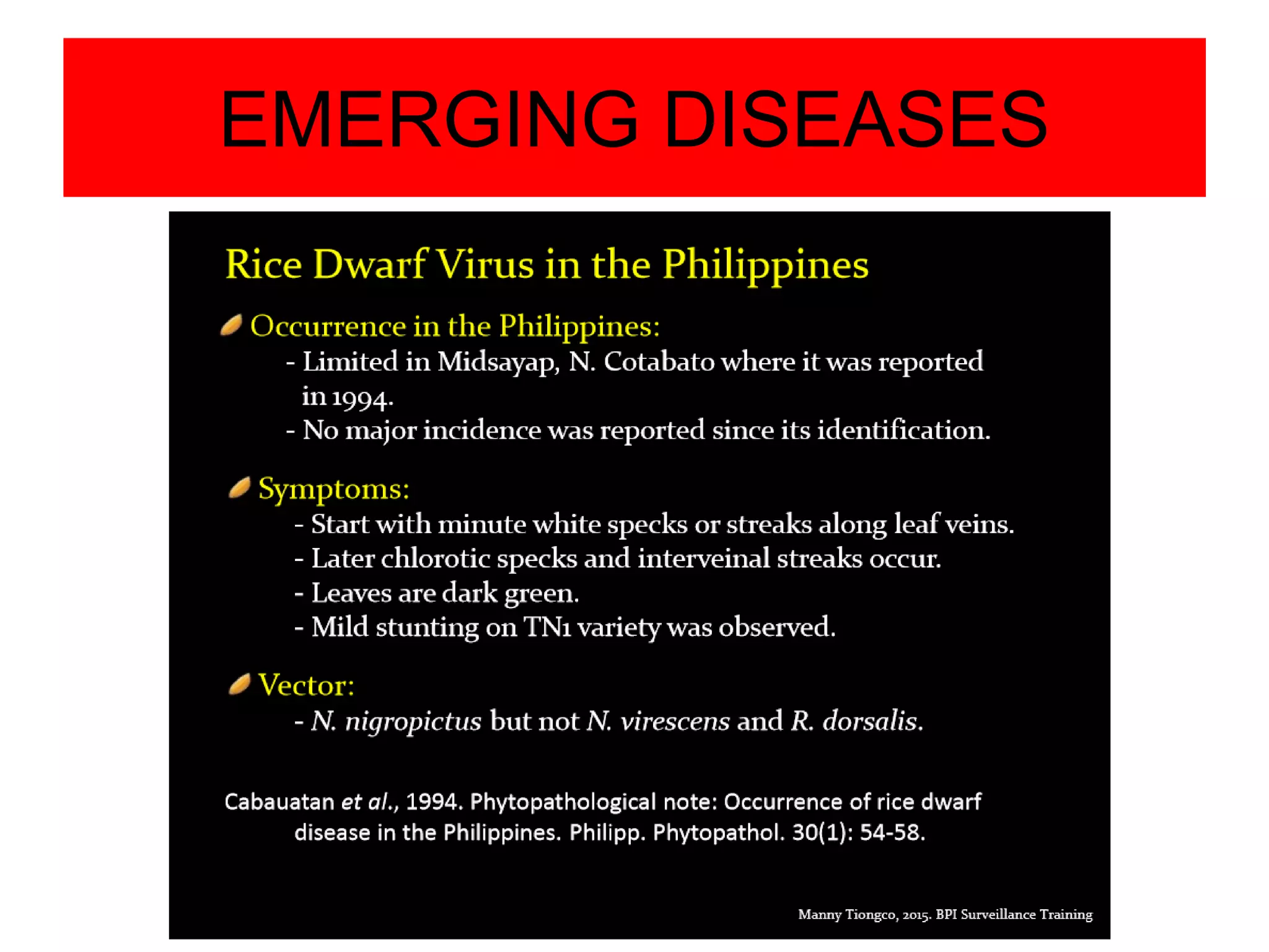Rice diseases and their management | PPTX