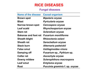 Rice _diseases _part_1_zahid | PPT