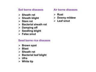 Rice _diseases _part_1_zahid | PPTX