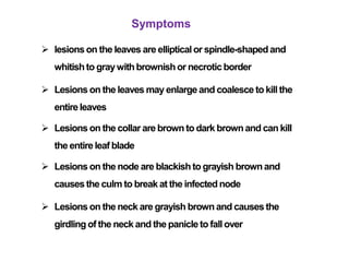 Rice diseases part_2_zahid | PPTX