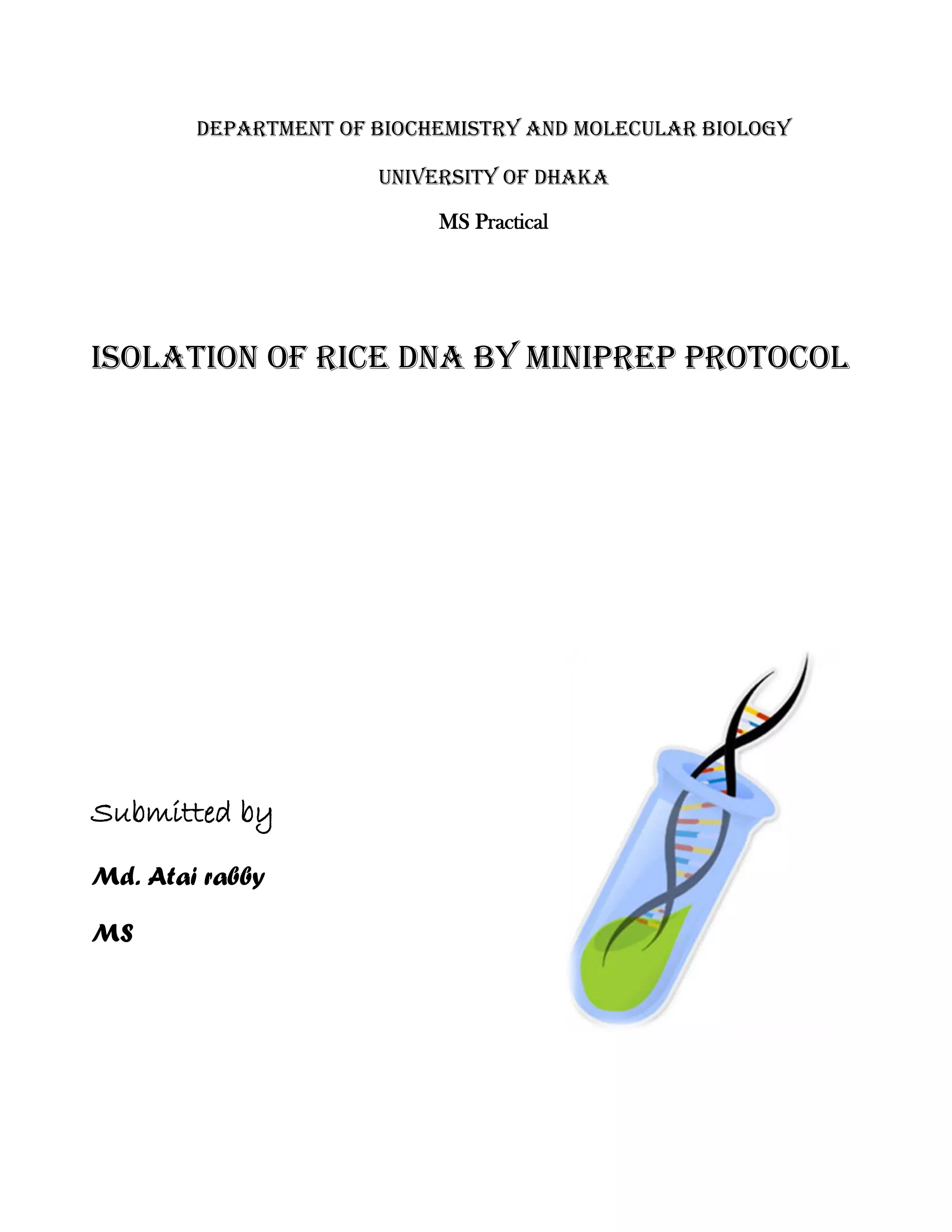 Rice dna extraction miniprep protocol | PDF