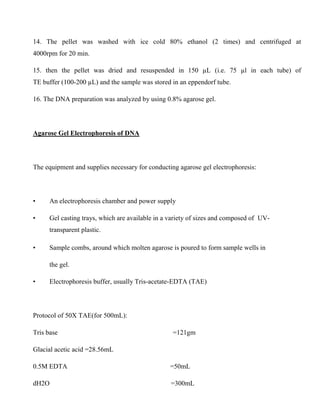 Rice dna extraction miniprep protocol | PDF