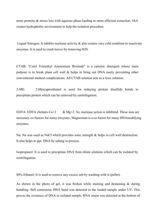 Rice dna extraction miniprep protocol | PDF