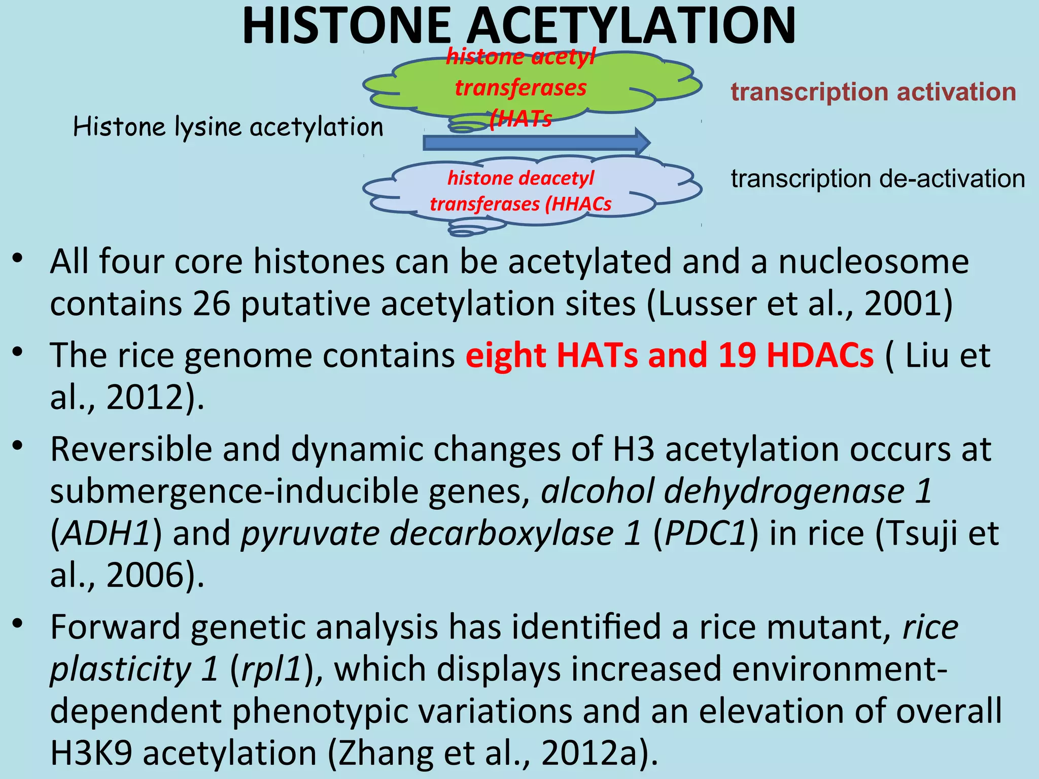 Epigenetic regulation of rice flowering and reproduction | PPT