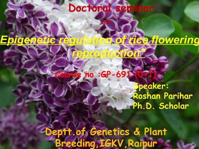 Epigenetic regulation of rice flowering and reproduction | PPT