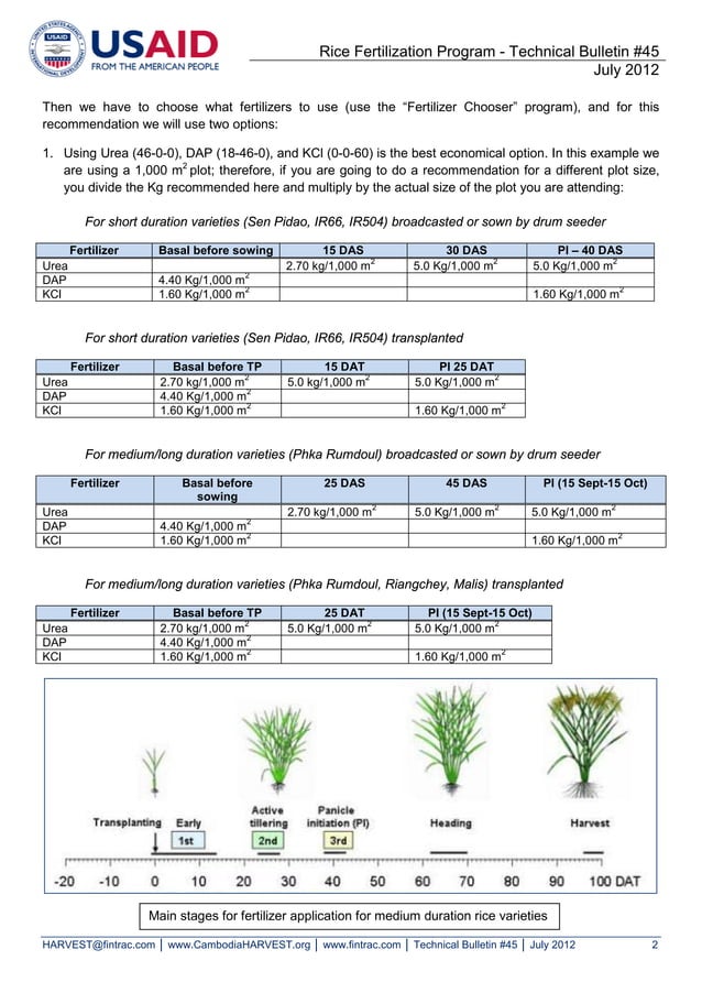 Rice fertilization program usaid | PDF | Agriculture | Industries