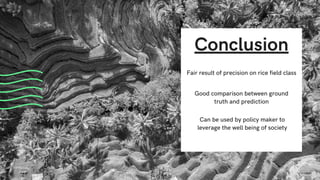 Rice Field Predictor Using Object Detection Algorithm | PDF