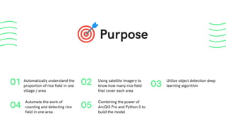 Rice Field Predictor Using Object Detection Algorithm | PDF