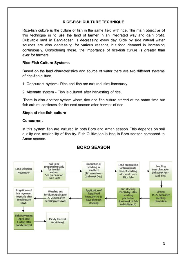 Rice fish integrated farming | DOCX