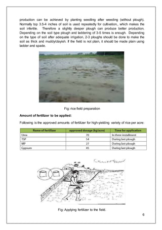 Rice fish integrated farming | DOCX