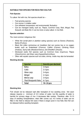 Rice fish integrated farming | DOCX