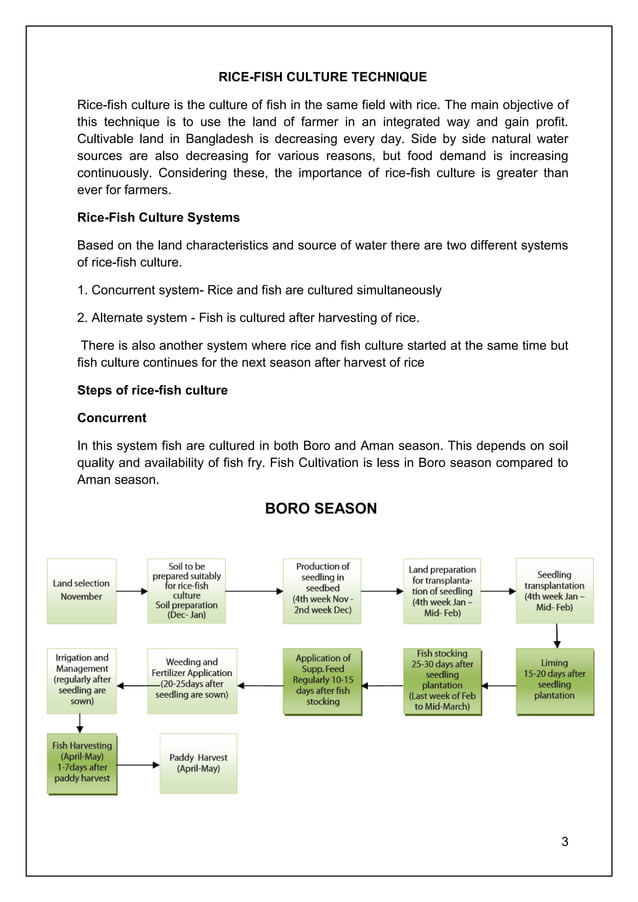 Rice fish integrated farming | PDF
