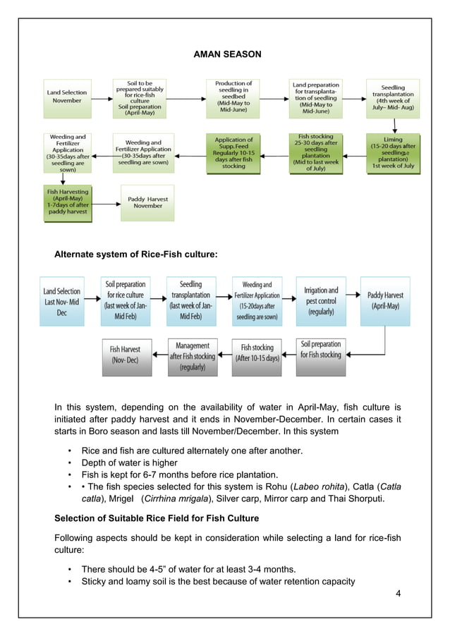 Rice fish integrated farming | PDF