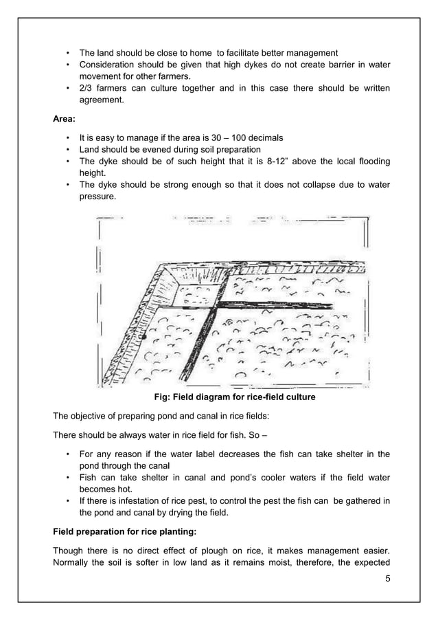 Rice fish integrated farming | PDF