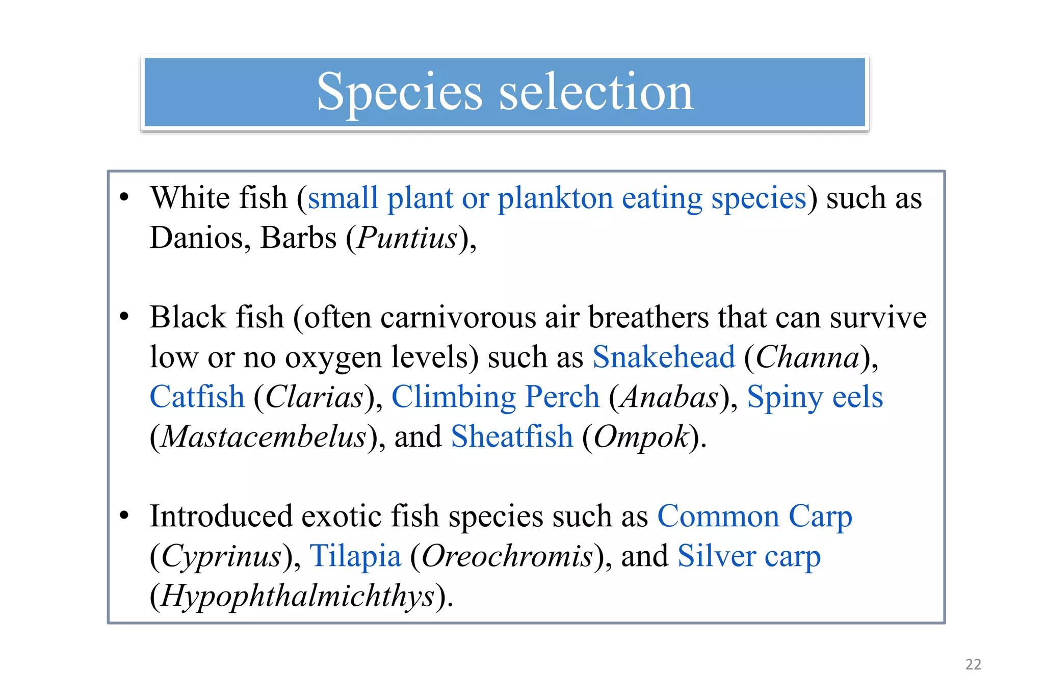 Rice fish integrated farming presentation | PPTX