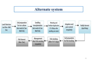 Rice fish integrated farming presentation | PPTX