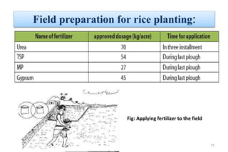 Rice fish integrated farming presentation | PPTX