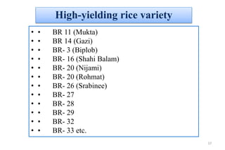 Rice fish integrated farming presentation | PPTX