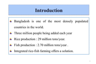 Rice fish integrated farming presentation | PPTX
