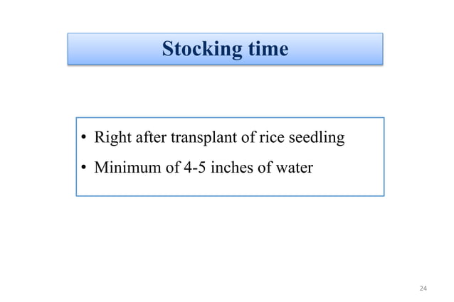 Rice fish integrated farming presentation | PPTX