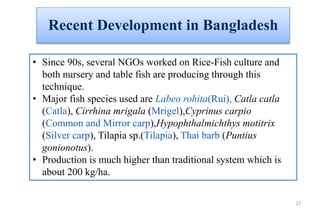 Rice fish integrated farming presentation | PPTX