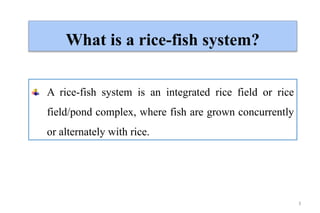 Rice fish integrated farming presentation | PPTX