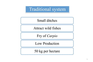Rice fish integrated farming presentation | PPTX