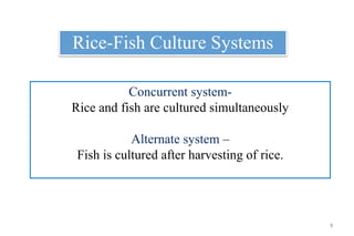 Rice fish integrated farming presentation | PPTX