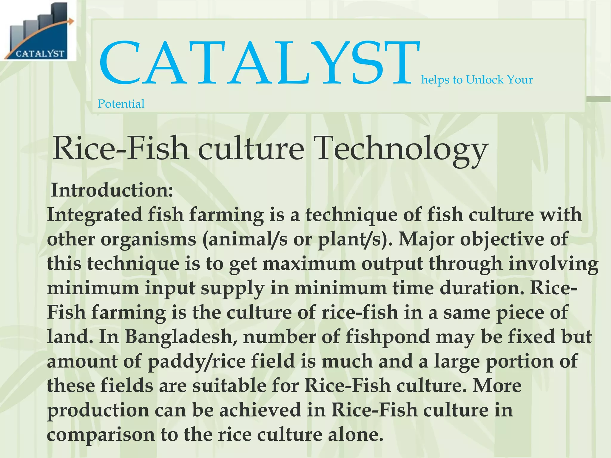 Rice and fish culture together | PPT