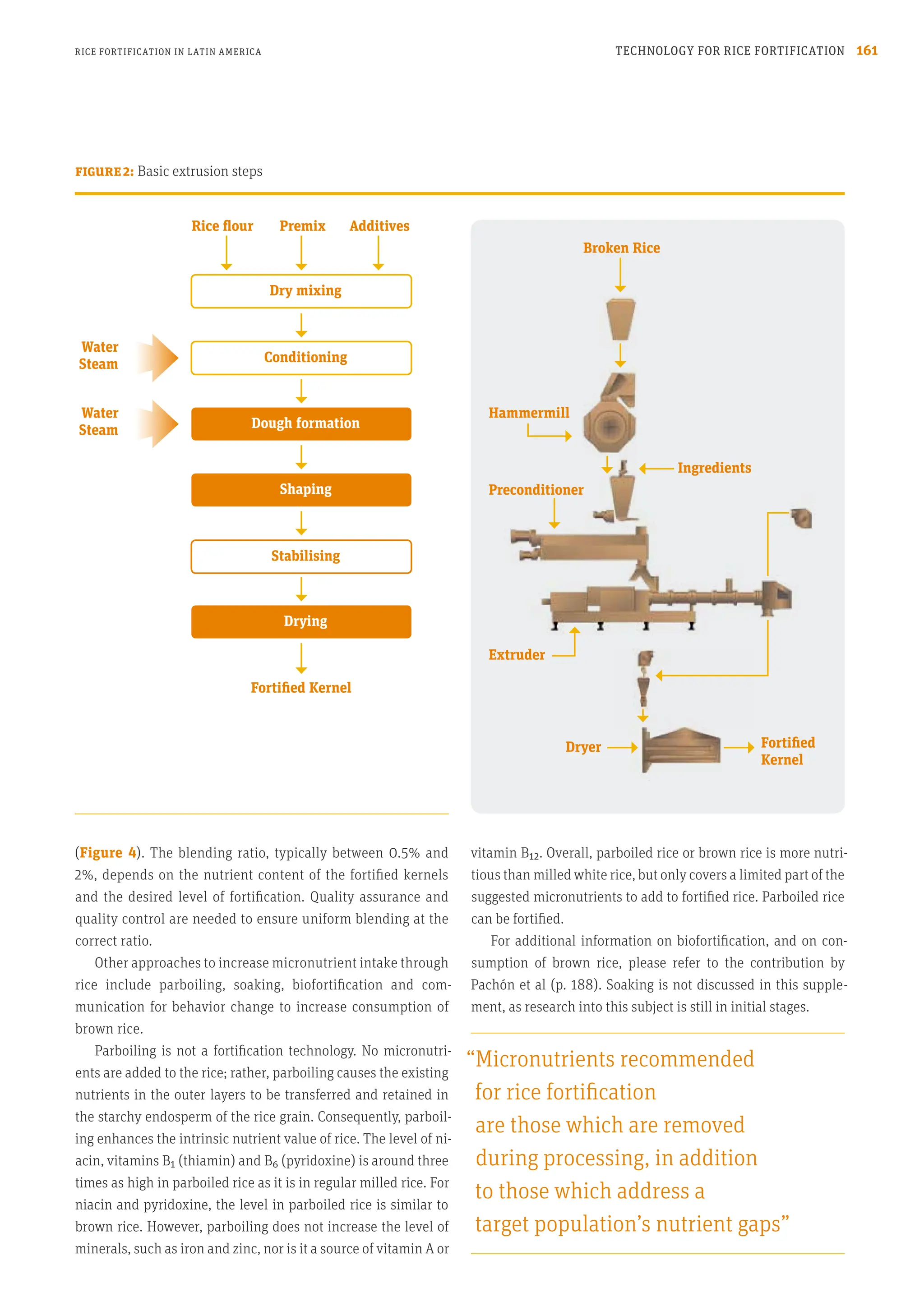 Rice Fortification Technology for future | PDF