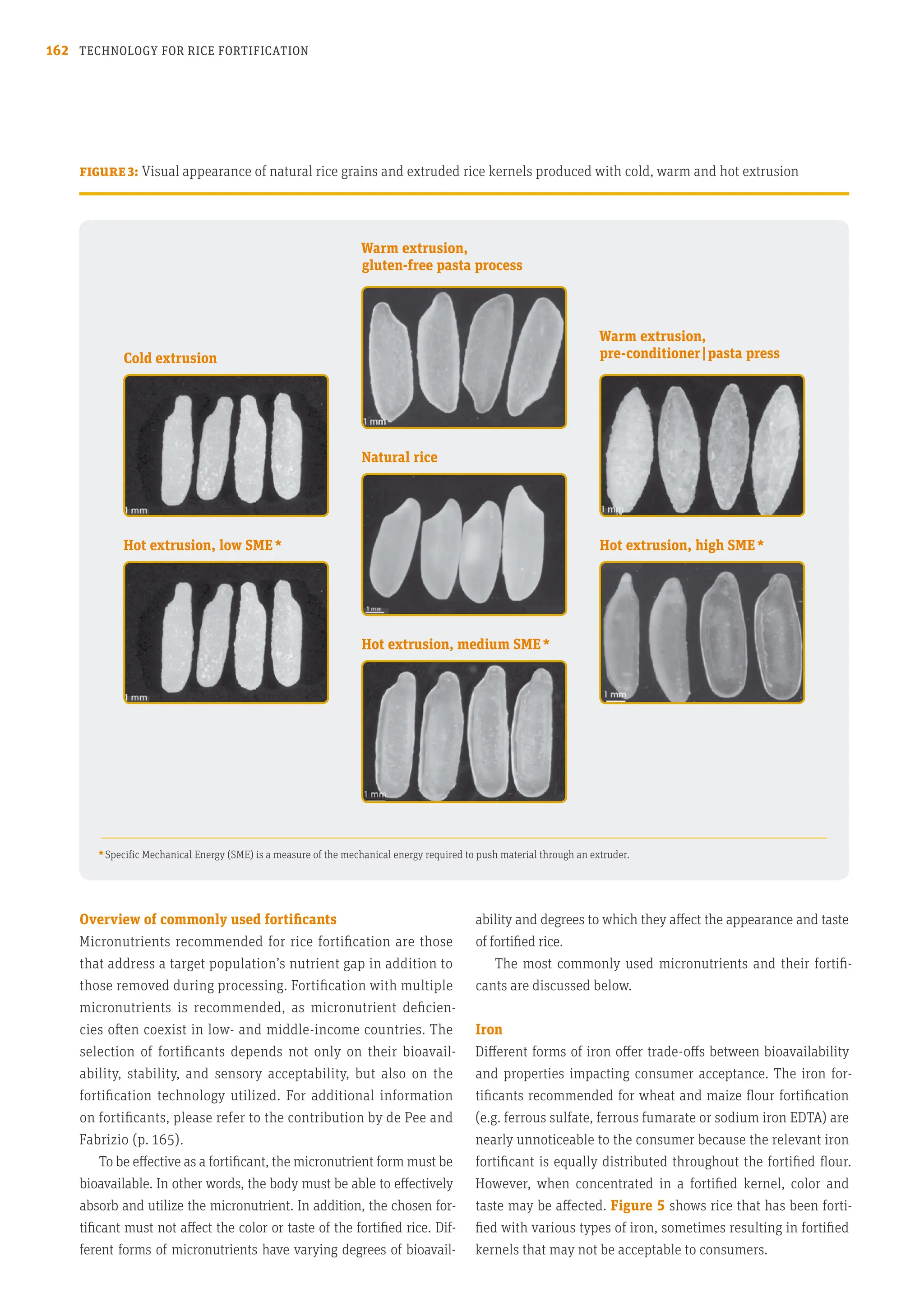 Rice Fortification Technology for future | PDF