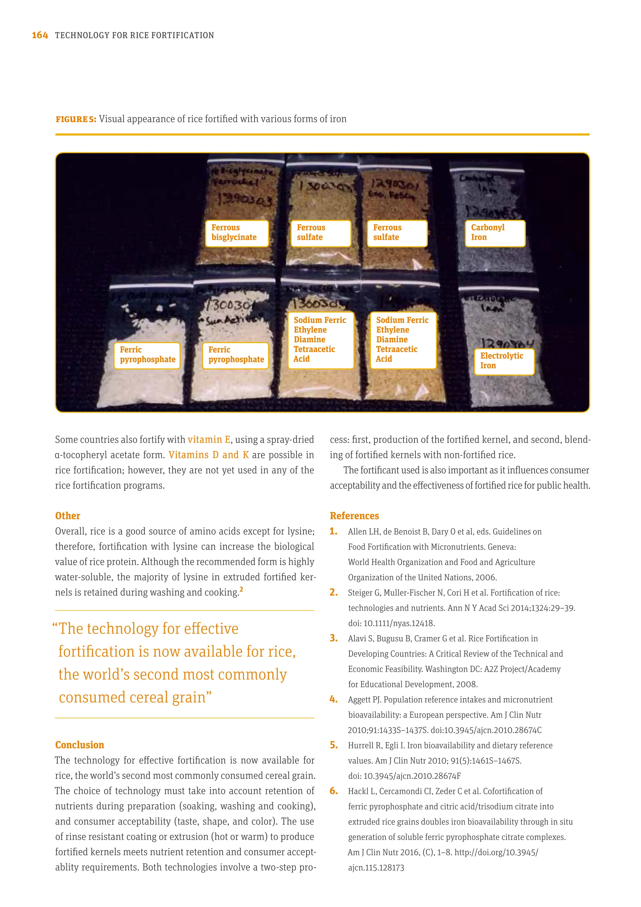 Rice Fortification Technology for future | PDF