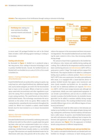 Rice Fortification Technology for future | PDF