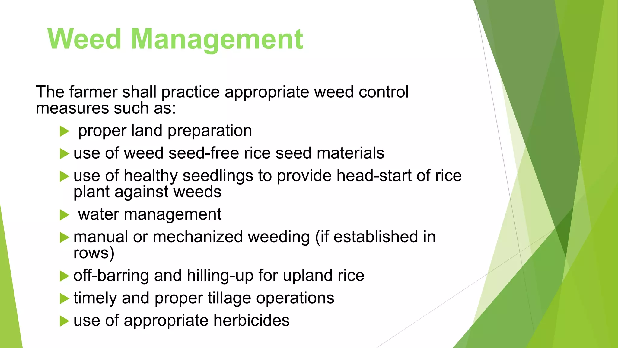 Rice_GAP_Presentation_27_Nov_2021.pptx