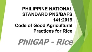 Rice_GAP_Presentation_27_Nov_2021.pptx