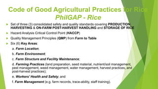 Rice_GAP_Presentation_27_Nov_2021.pptx