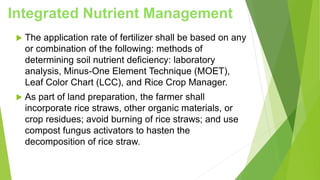 Rice_GAP_Presentation_27_Nov_2021.pptx