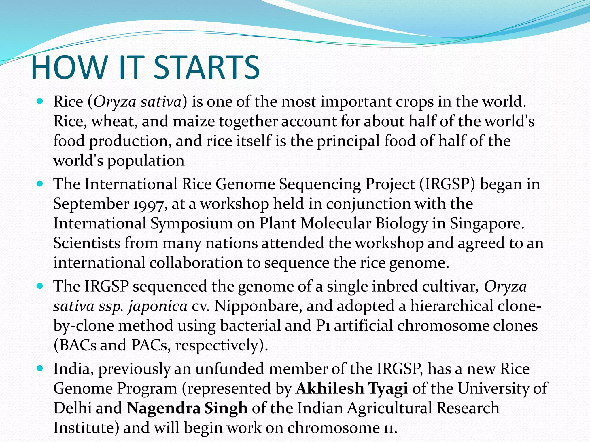 Rice genome india"s role | PPTX
