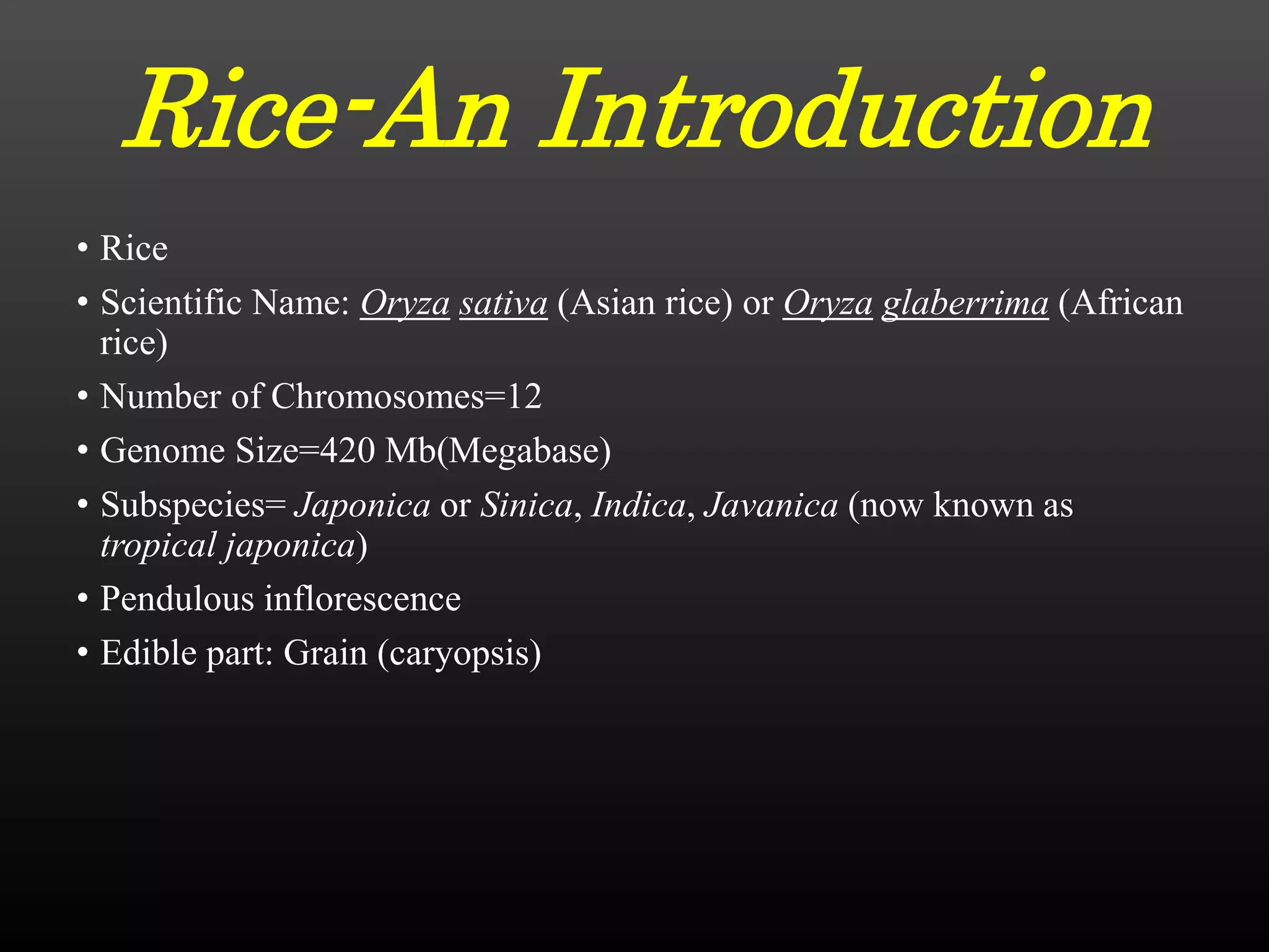 Rice genome sequencing by utkarsh | PPTX