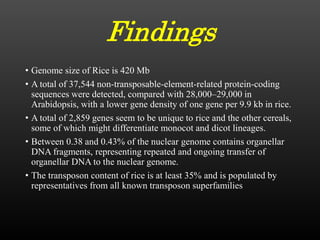 Rice genome sequencing by utkarsh | PPTX